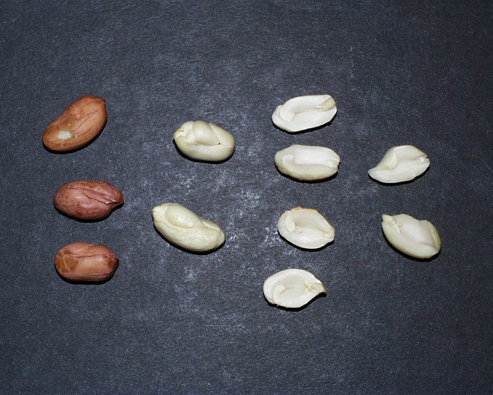 They cast lots? – Jabbok Dawn